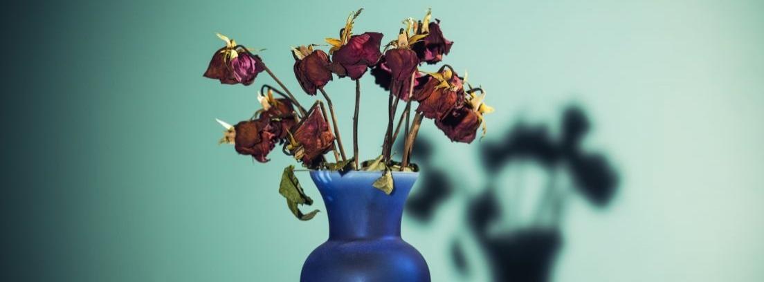 Descubre las novedades del universo del hogar -canalHOGAR