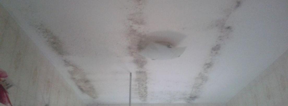 Eliminar los hongos de las paredes - canalHOGAR